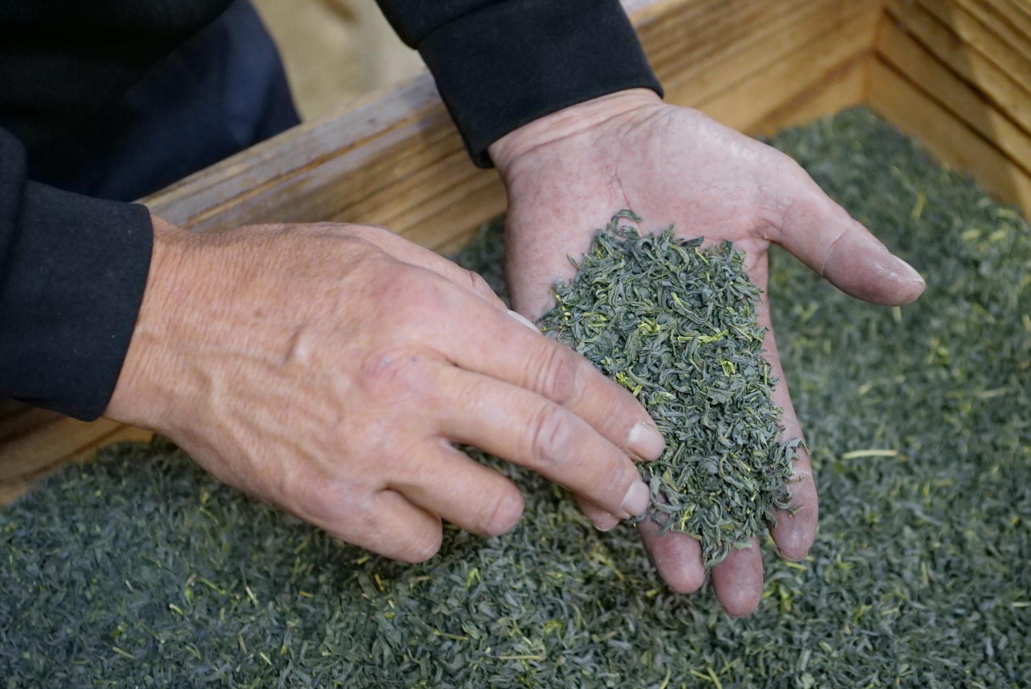 Kadota Aracha Kamairicha 2023 – MARIMO TEA